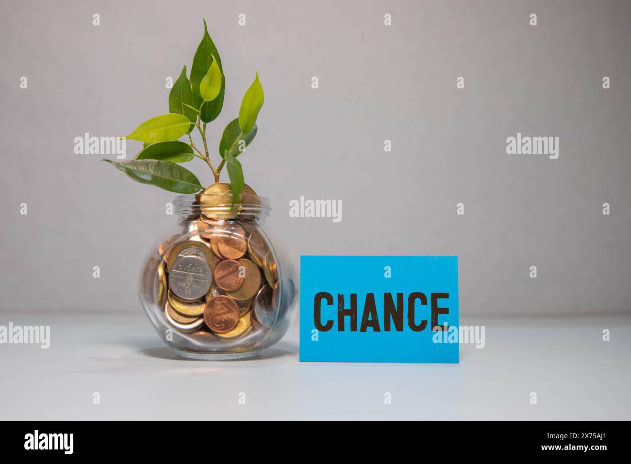 Revise communication hi-res stock photography and images - Alamy