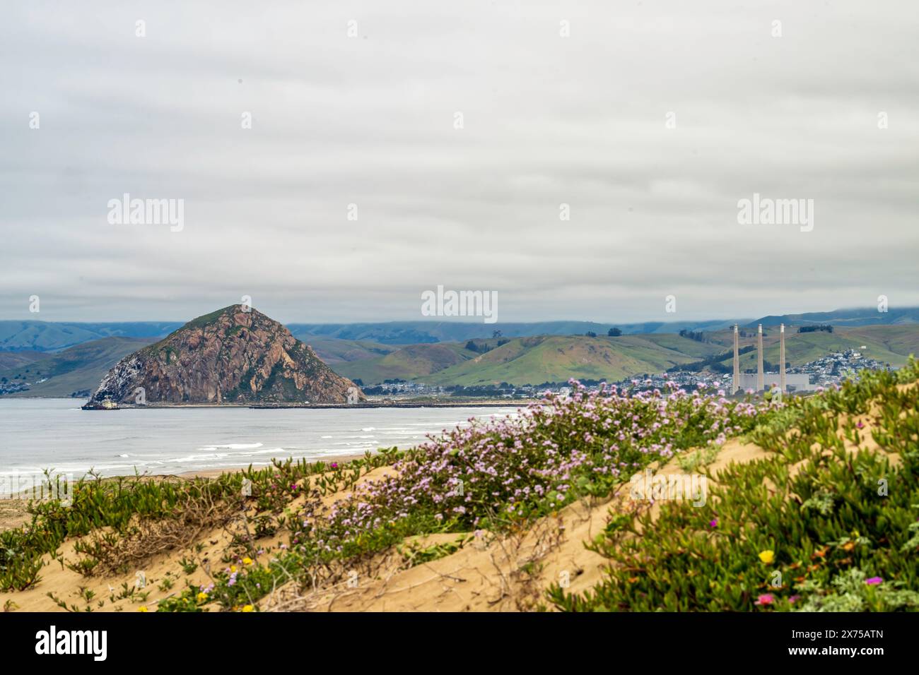 View of Morro Rock from the dunes at Sandspit Beach, Montana de Oro ...