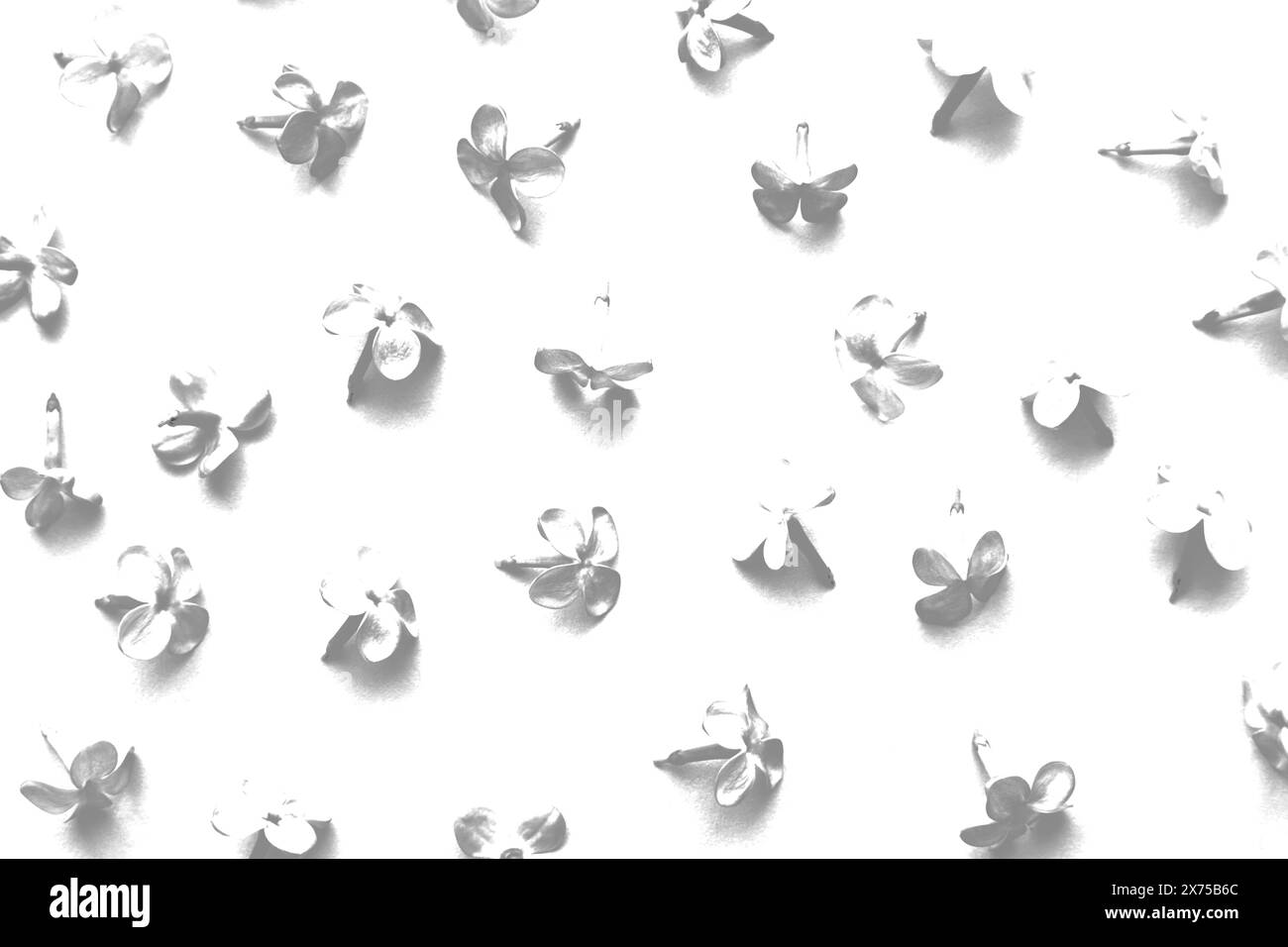 Abstract background monochrome pattern black Cut Out Stock Images ...