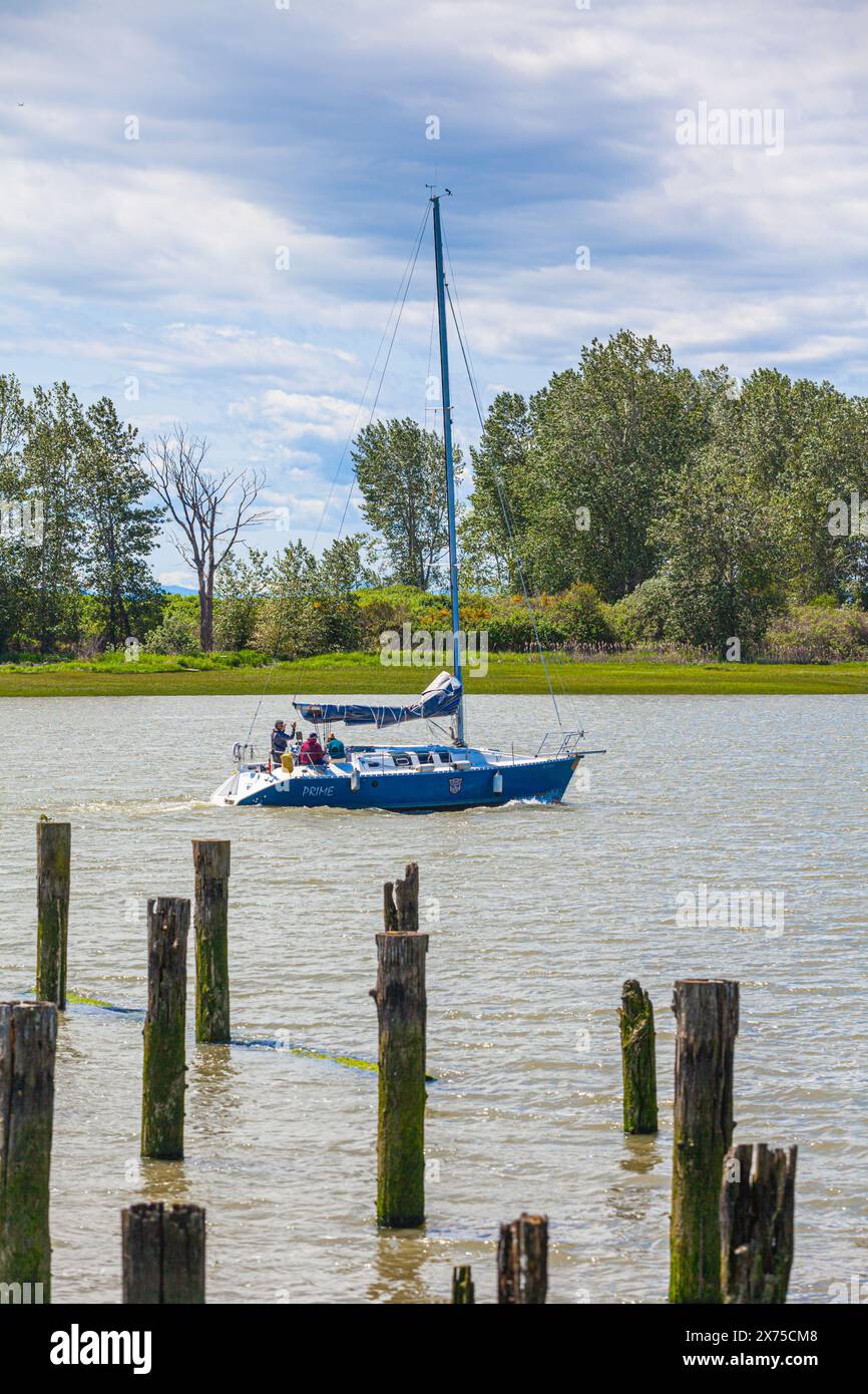 Sailing vessel Prime departing Steveston Channel in British Columbia ...