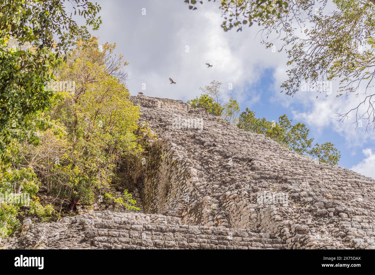 Coba, Mexico. Ancient mayan city in Mexico. Coba is an archaeological ...