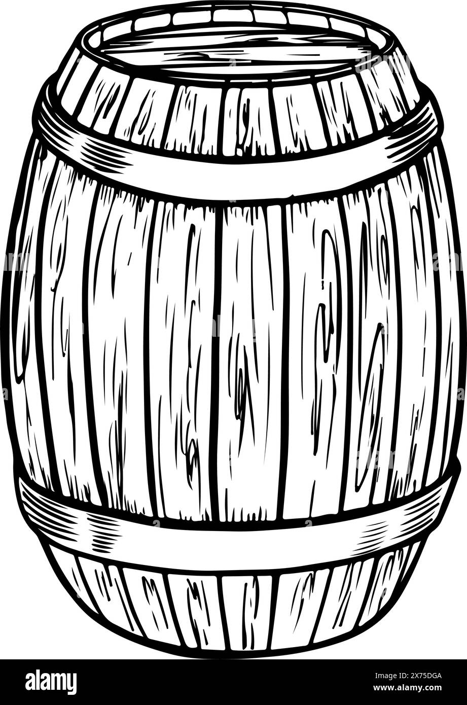 Vector wooden barrel. Hand drawn vintage illustration in engraved style ...