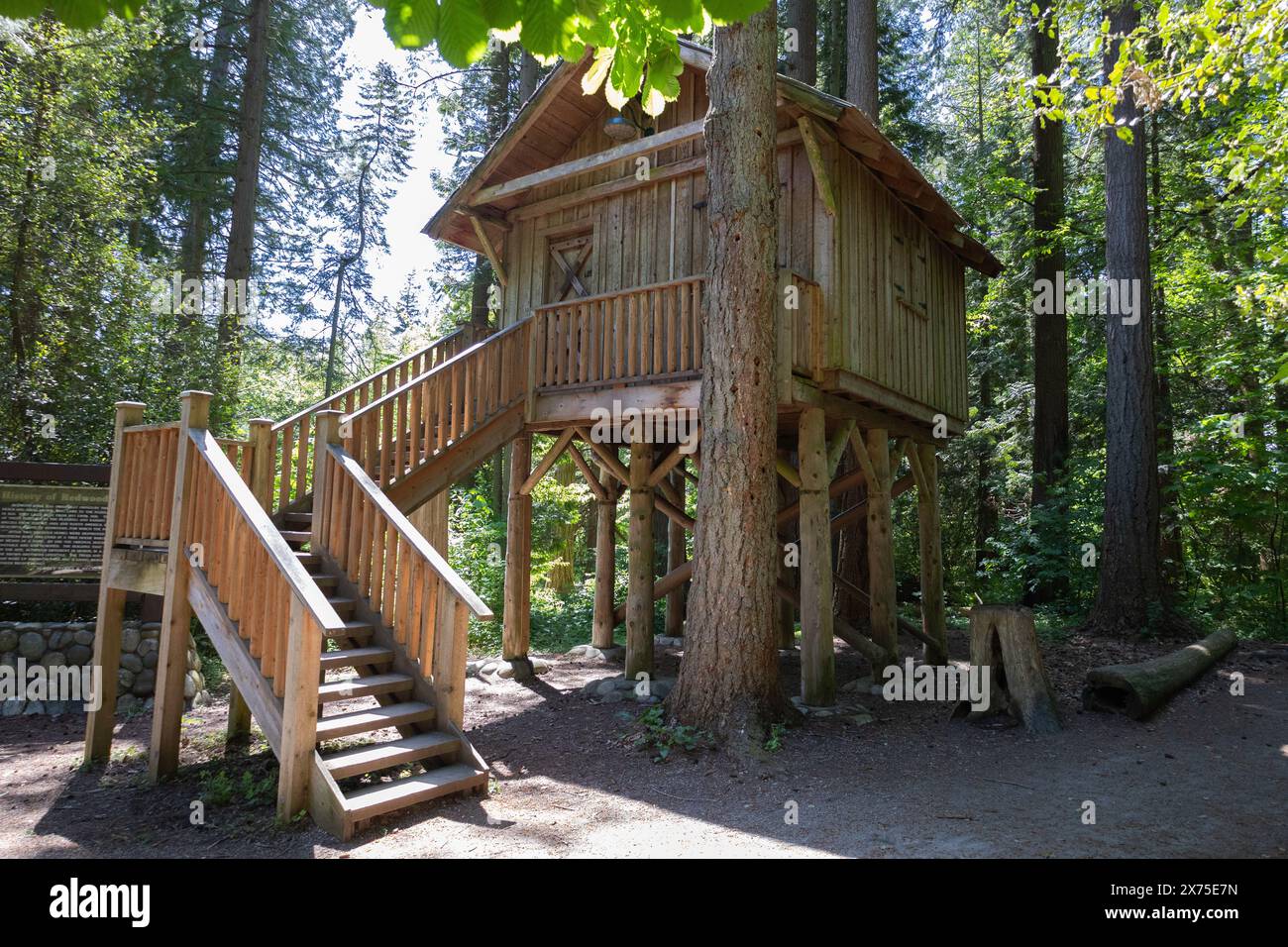 Liveable tree house Stock Photo - Alamy