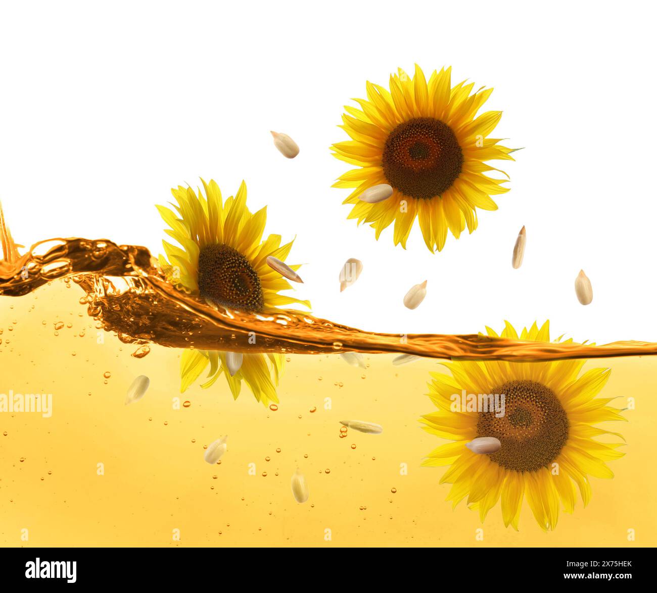 Sunflowers and seeds falling into cooking oil on white background Stock ...
