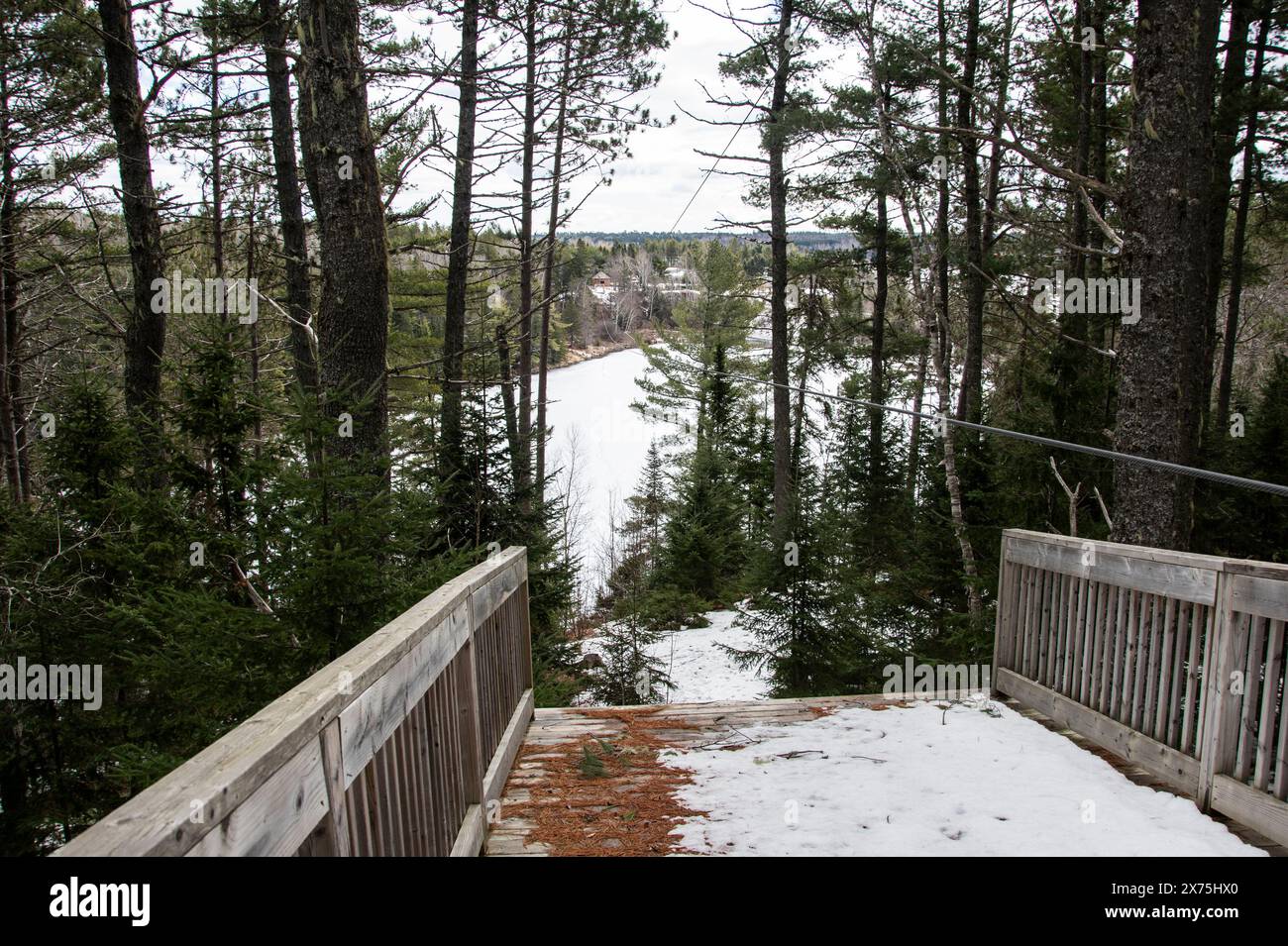 Zip line platform at French Fort Cove Park in Miramichi, New Brunswick ...