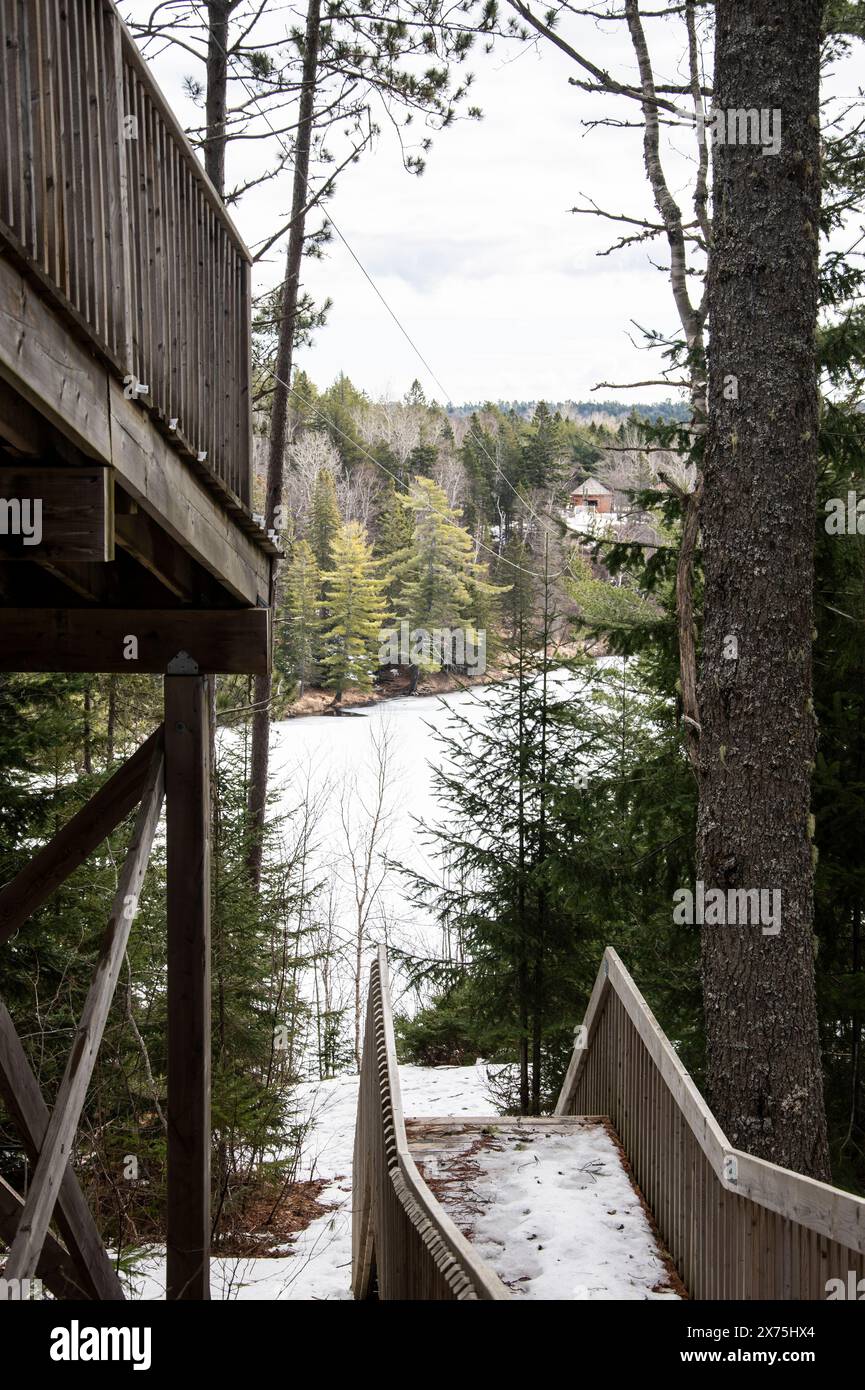 Zip line platform at French Fort Cove Park in Miramichi, New Brunswick ...