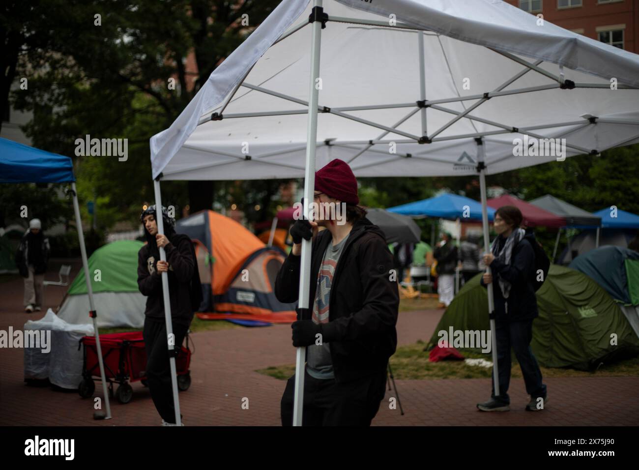 Genocide joe cartoon hi-res stock photography and images - Alamy