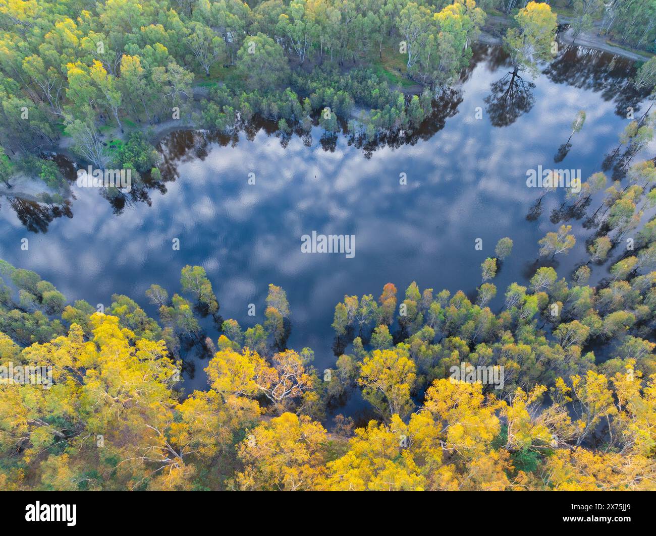 Aerial view of cloud reflection in a billabong surrounded by Australian ...