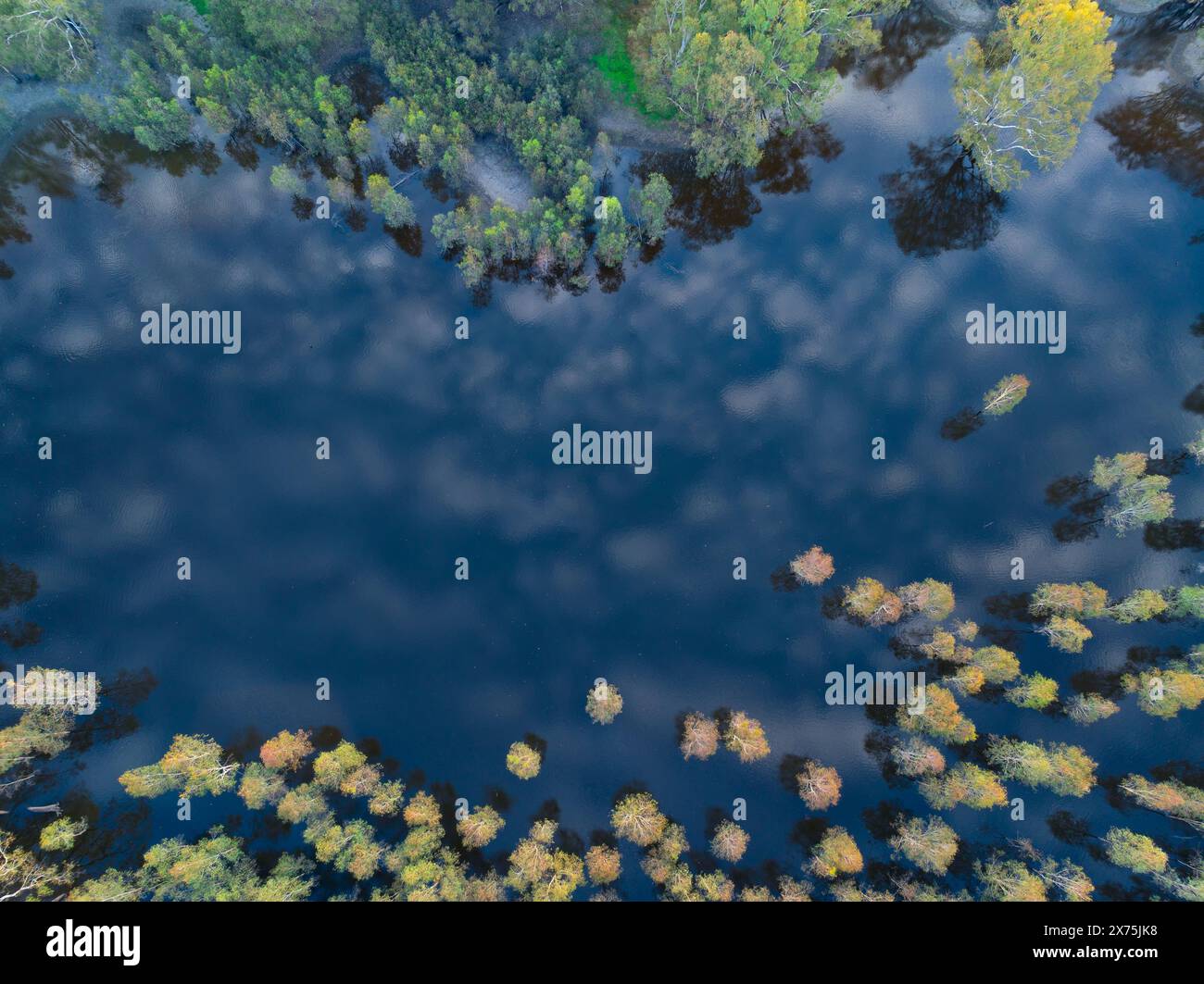 Aerial view of cloud reflection in a billabong surrounded by Australian ...