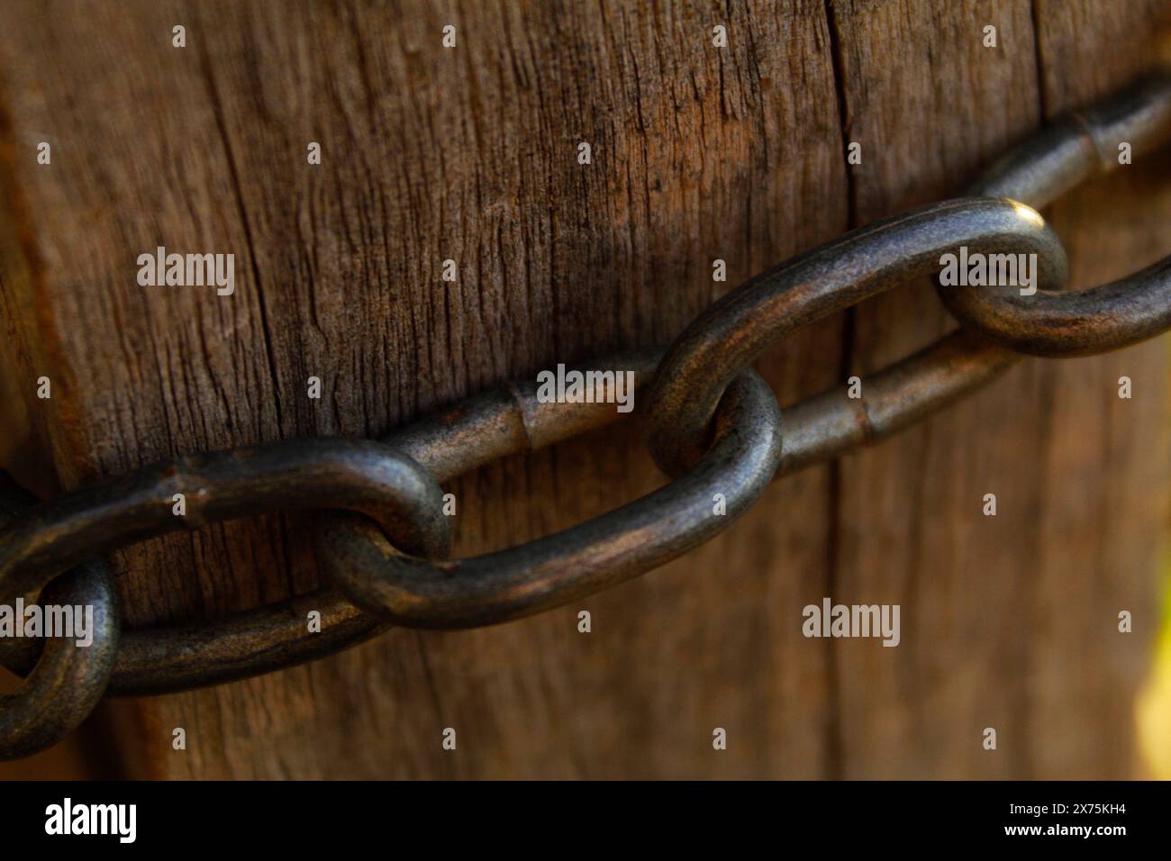 Chain in a wood Stock Photo - Alamy