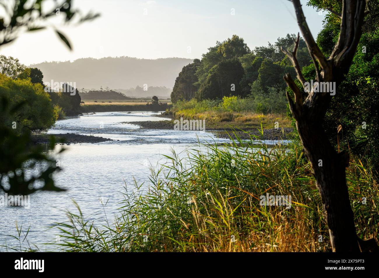 Mersey River in late afternoon, Latrobe, Tasmania Stock Photo - Alamy