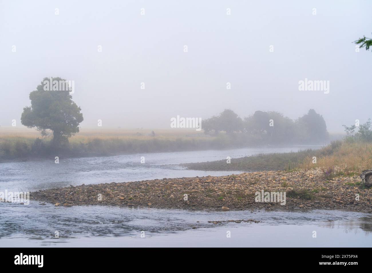 Foggy morning on Mersey River at Latrobe, Tasmania Stock Photo - Alamy
