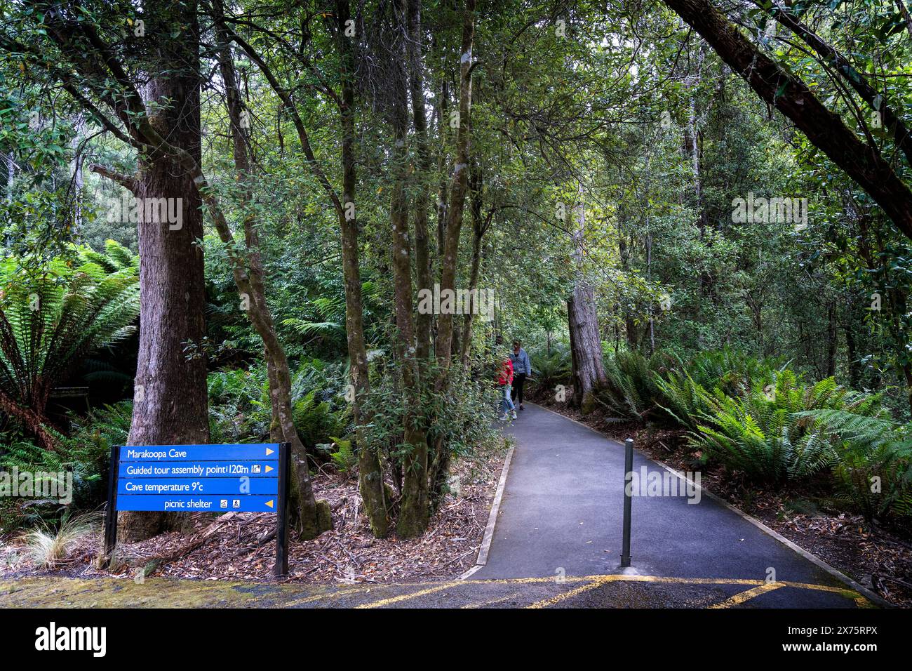 Information sign at start of walking path to entrance of Marakoopa Cave ...