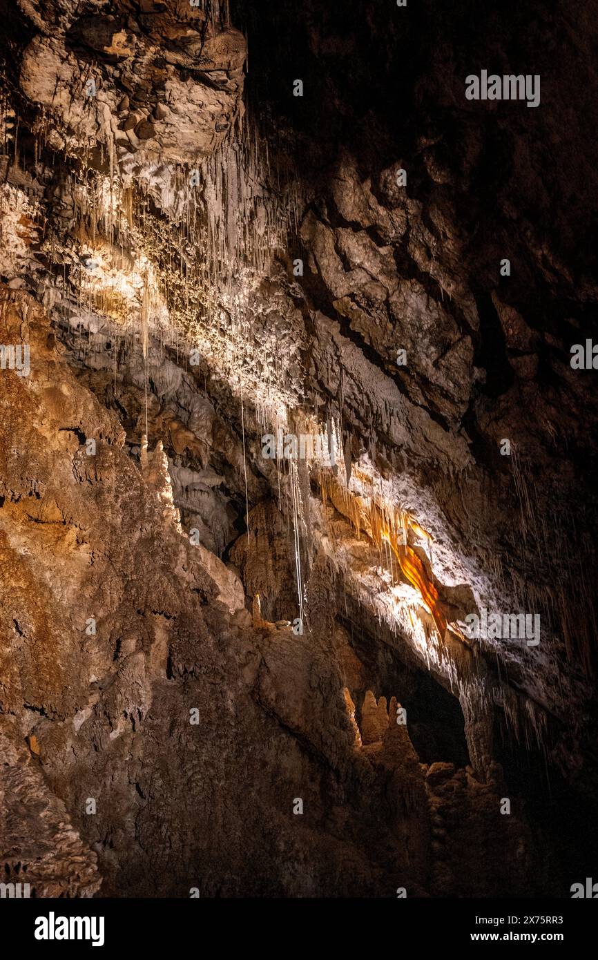 Interior of Marakoopa Cave, Mole Creek Tasmania Stock Photo - Alamy