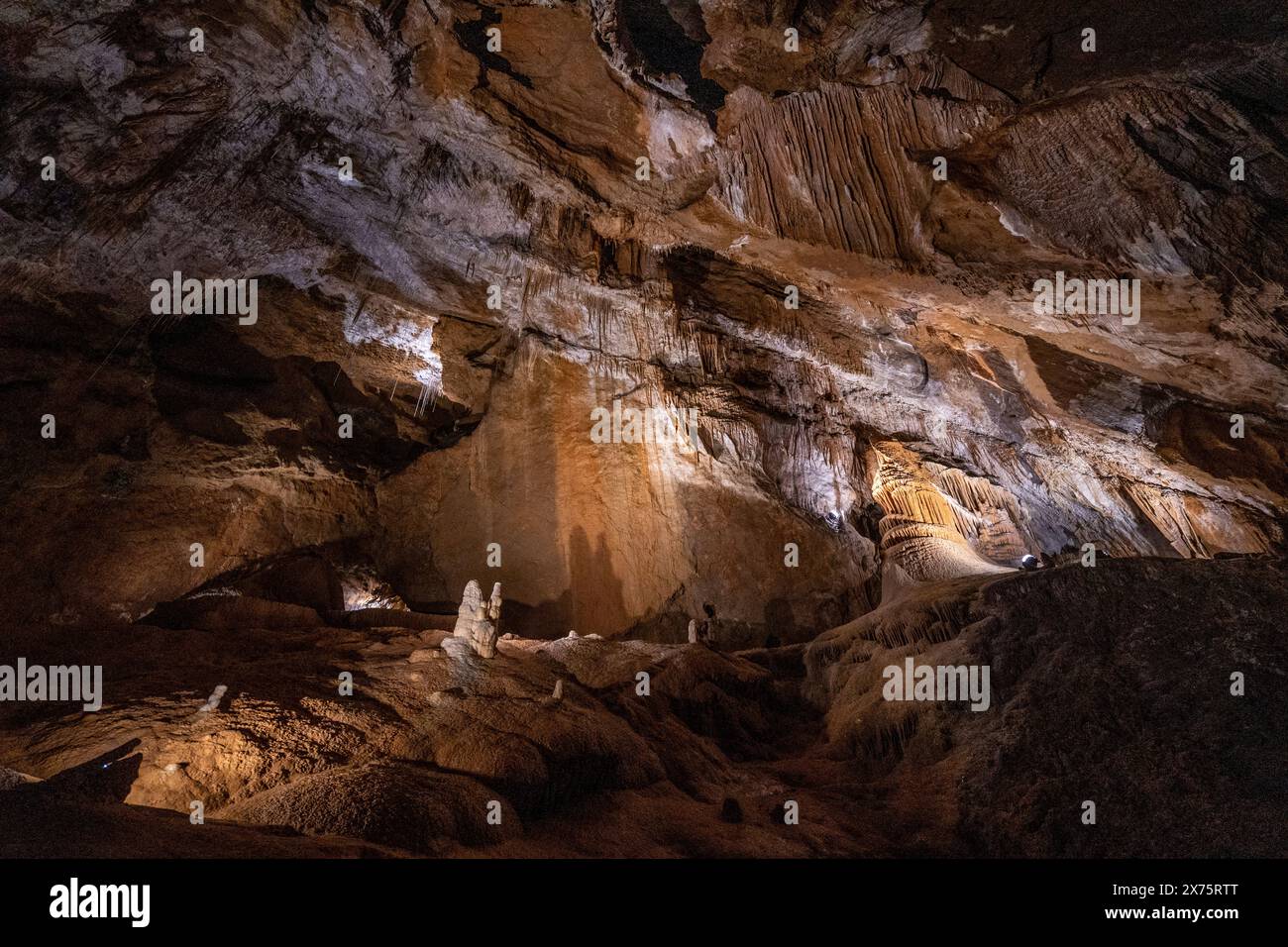 Interior of Marakoopa Cave, Mole Creek Tasmania Stock Photo - Alamy