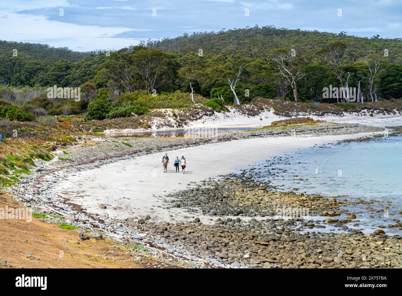 Rutherford Beach, Maria Island, Tasmania Stock Photo - Alamy