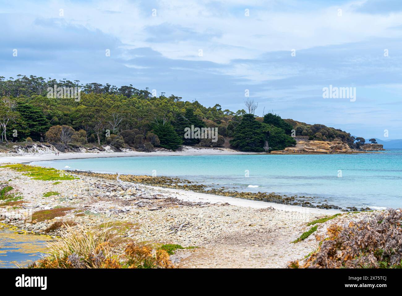 Rutherford Beach, Maria Island, Tasmania Stock Photo - Alamy