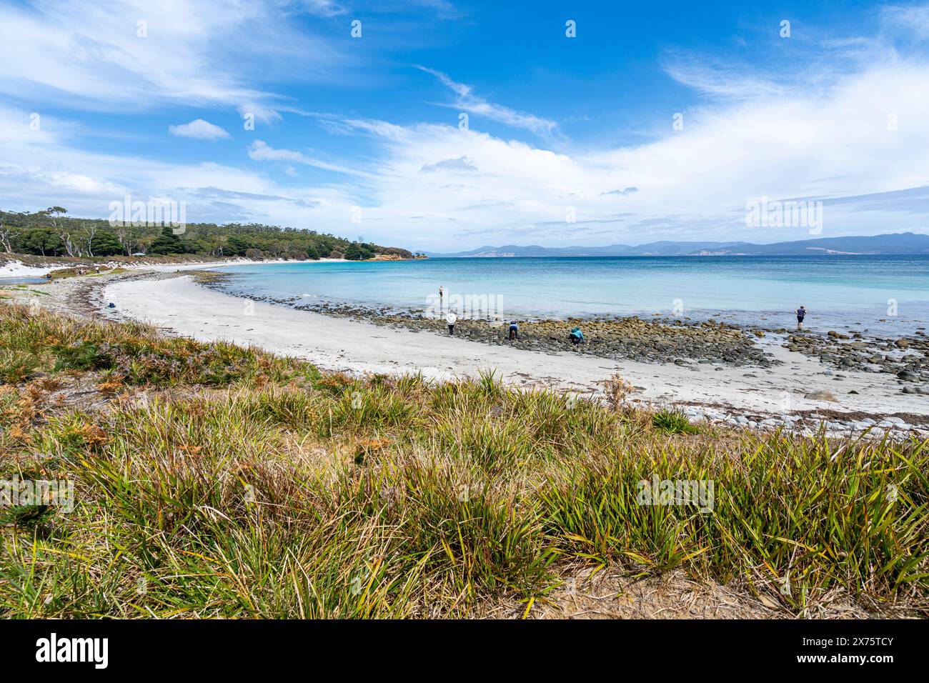 Rutherford Beach, Maria Island, Tasmania Stock Photo - Alamy