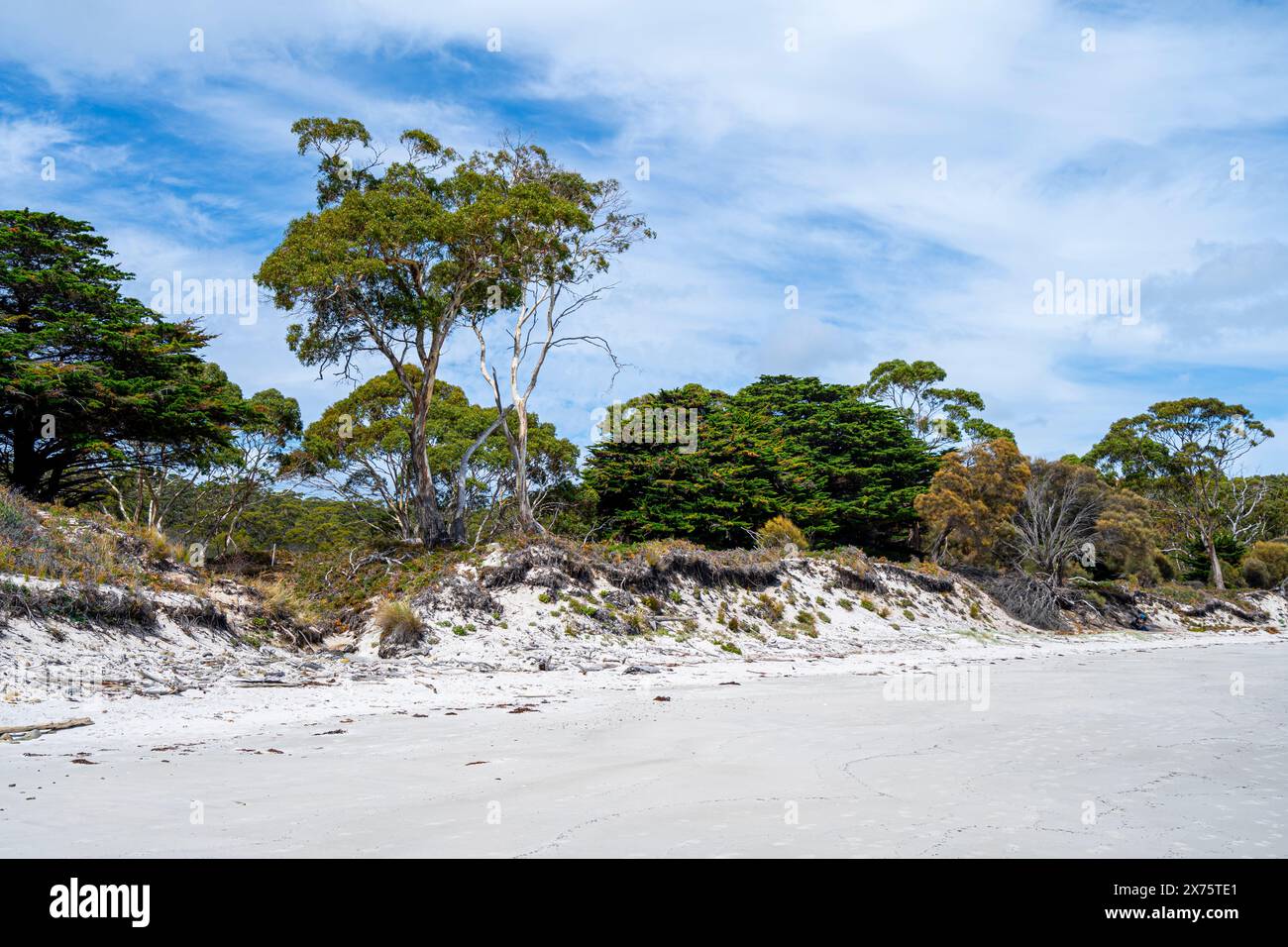 Rutherford Beach, Maria Island, Tasmania Stock Photo - Alamy