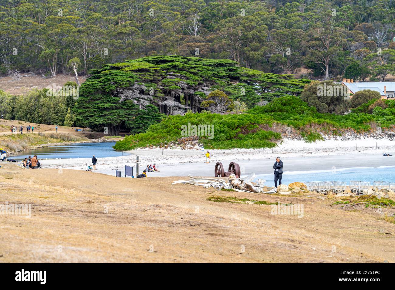 Tourist walking on coastal path between settlement of Darlington and ...