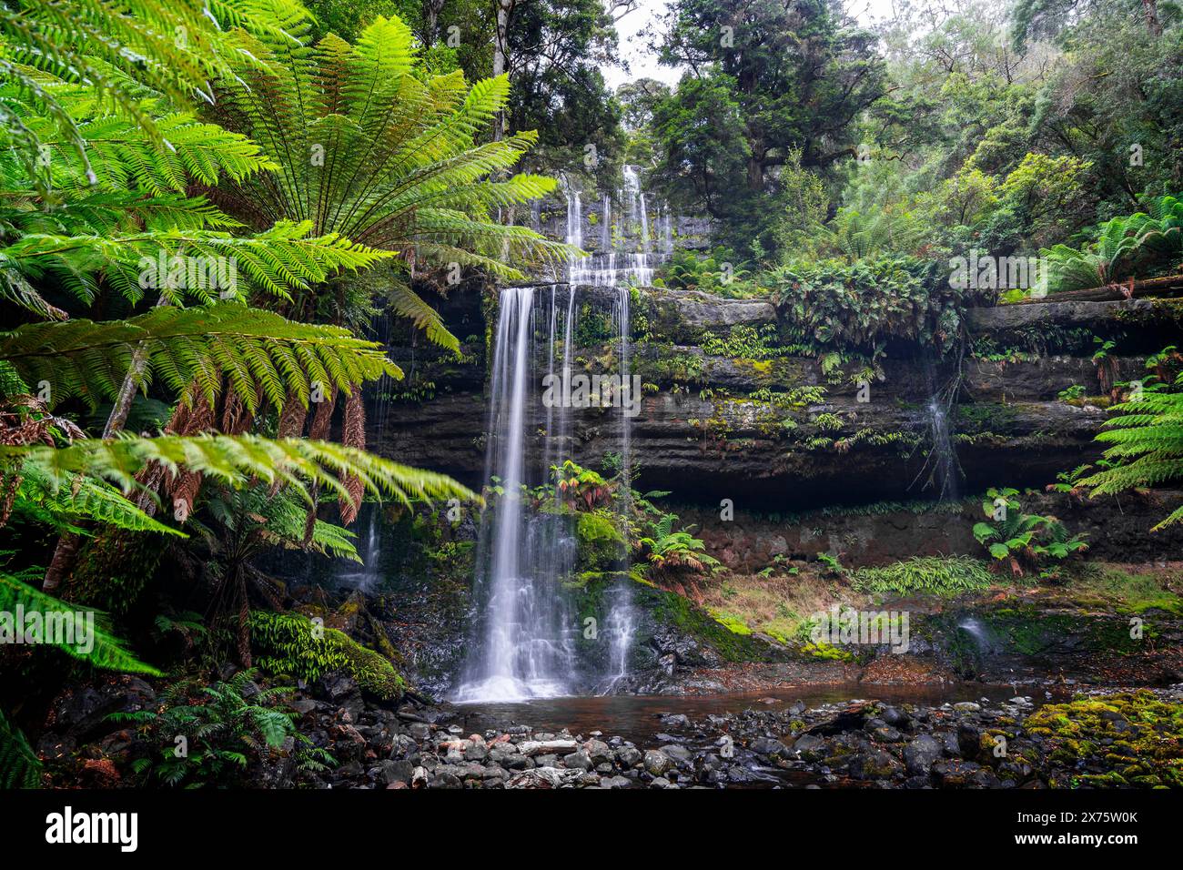 Russell Falls, Mount Field National Park, Tasmania Stock Photo - Alamy