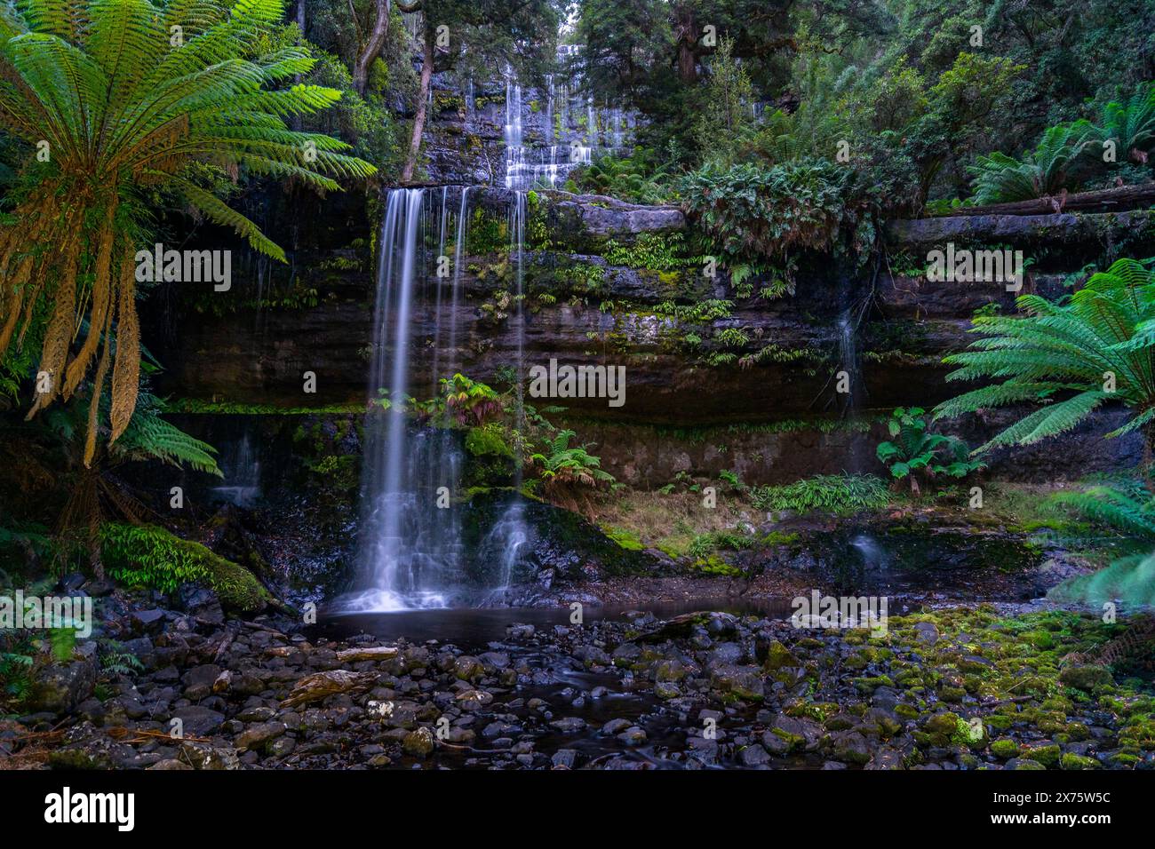 Russell Falls, Mount Field National Park, Tasmania Stock Photo - Alamy