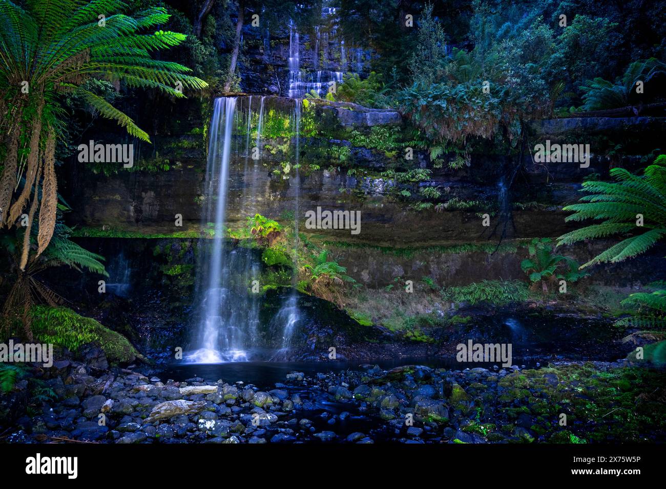 Russell Falls, Mount Field National Park, Tasmania Stock Photo - Alamy