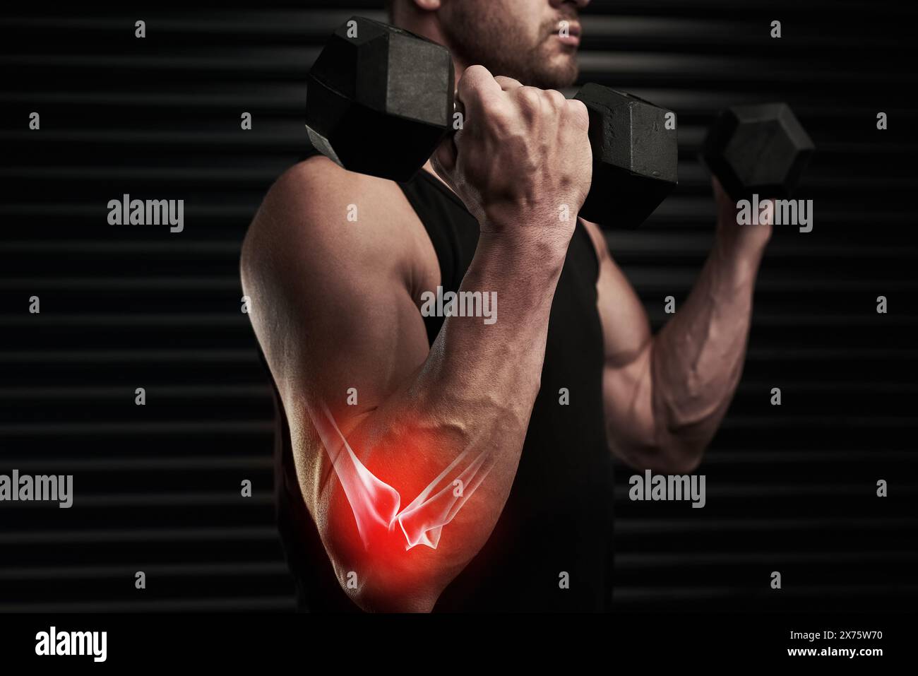 Man, arm and weight lifting with muscle skeleton in gym with 3d anatomy ...