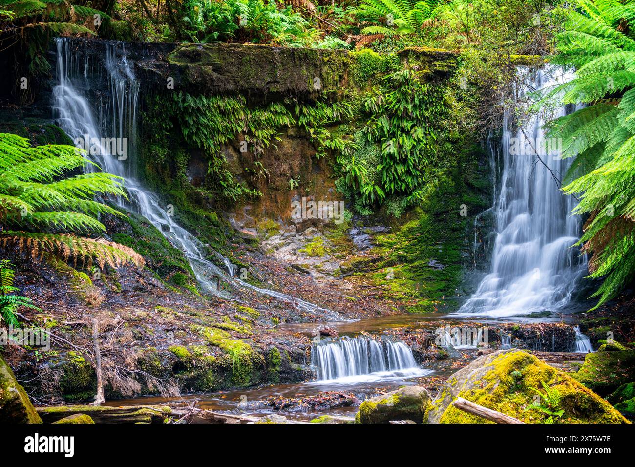 Horseshoe Falls, Mount Field National Park, Tasmania Stock Photo - Alamy