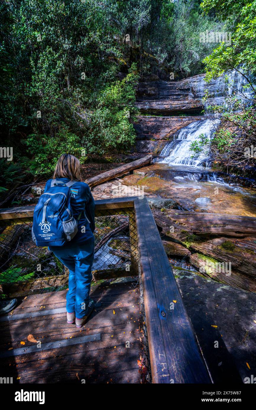 Hiker standing on viewing platform looking Lady Barron Falls, Mount ...