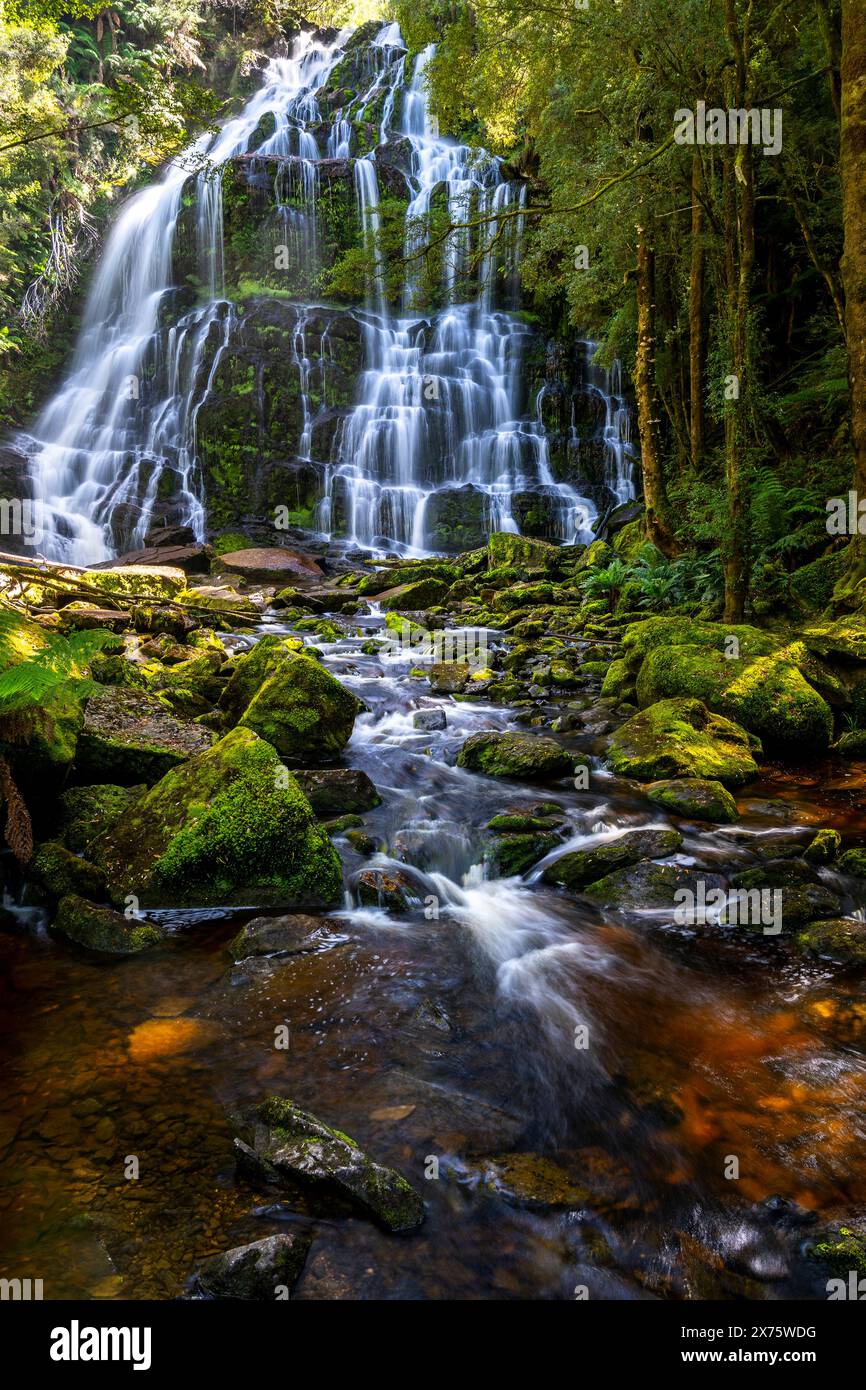 Nelson Falls, Franklin-Gordon Wild Rivers National Park, Lyell Hwy ...