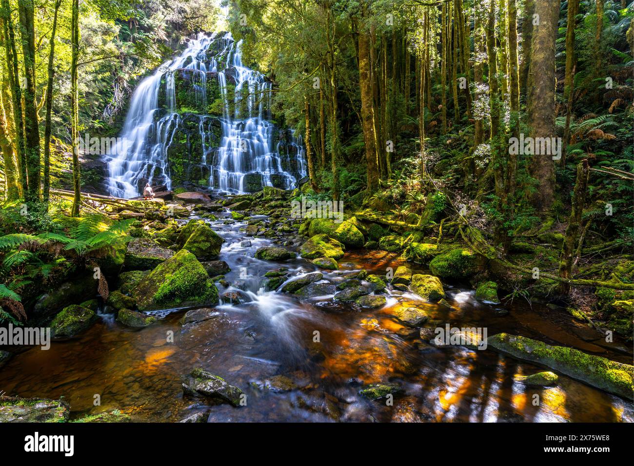 Nelson Falls, Franklin-Gordon Wild Rivers National Park, Lyell Hwy ...
