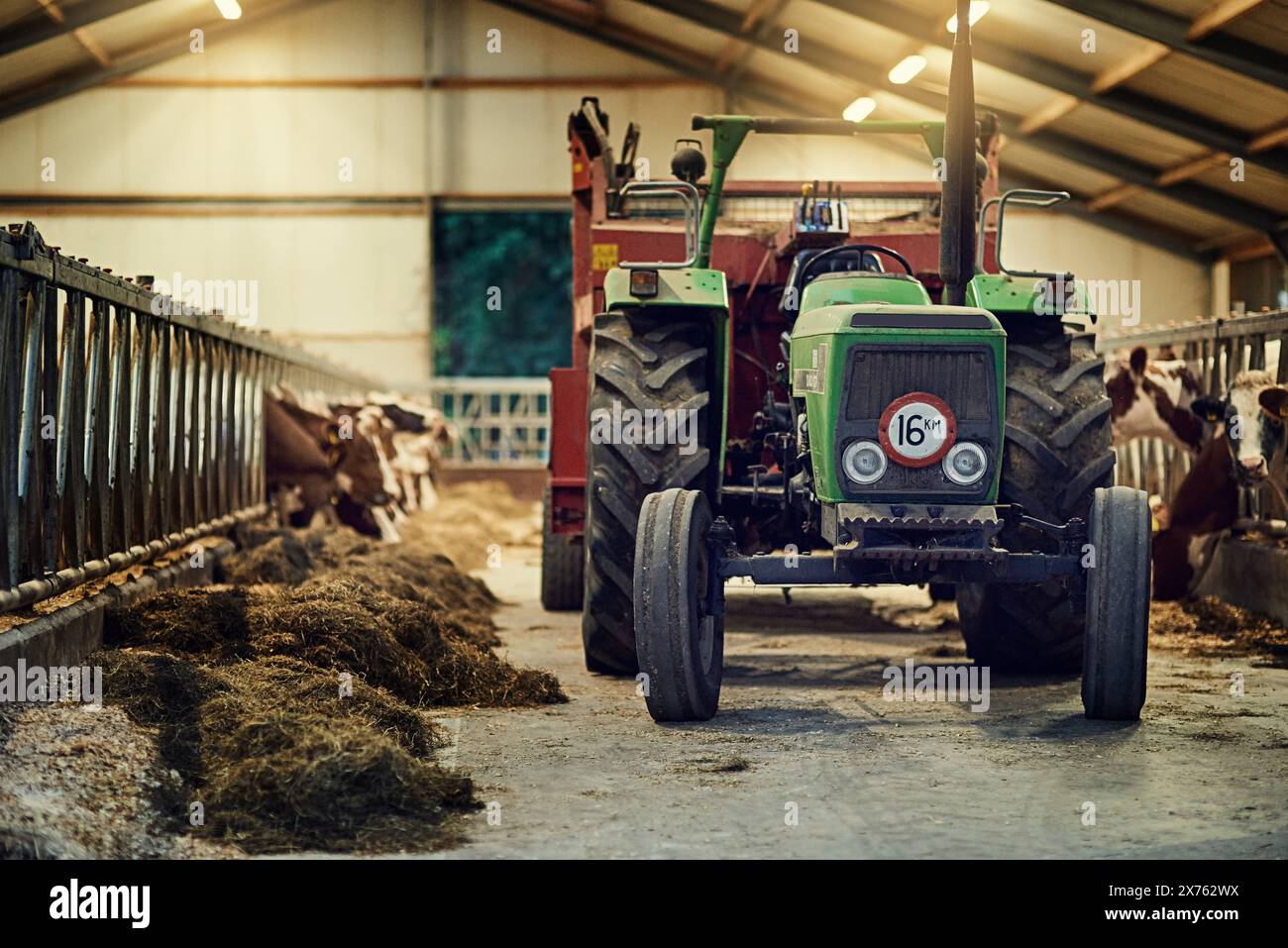 Farm, machine and old tractor in barn with dirt, rust and dust in ...