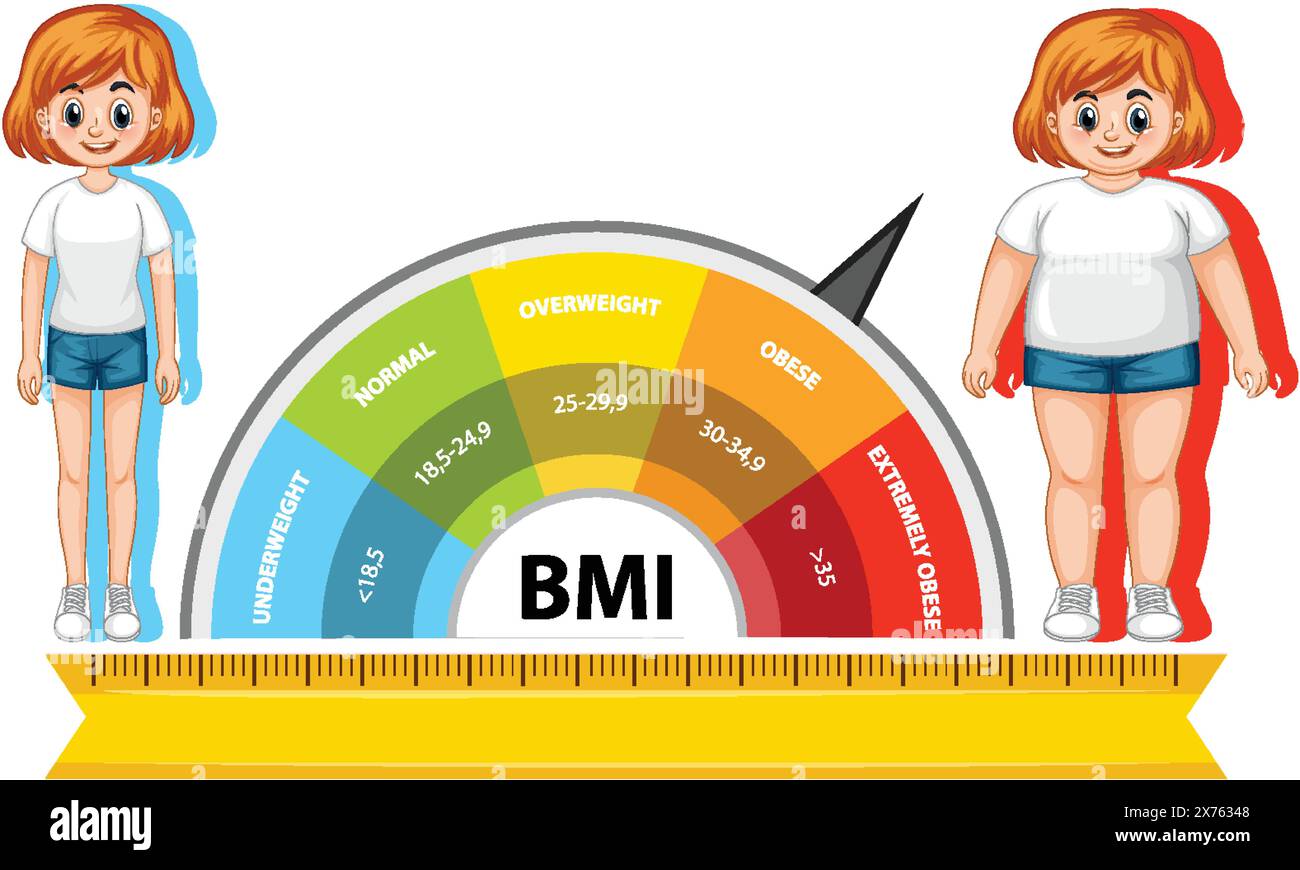 Illustration of BMI scale with two characters Stock Vector Image & Art - Alamy
