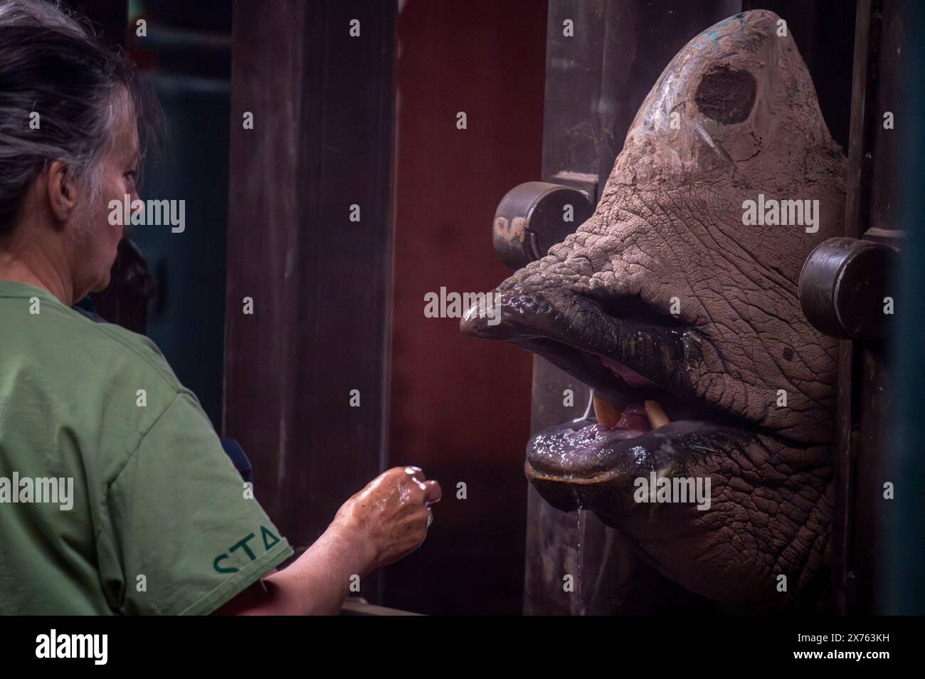 Seattle, Washington, USA. 17th May, 2024. May 17th is Endangered ...