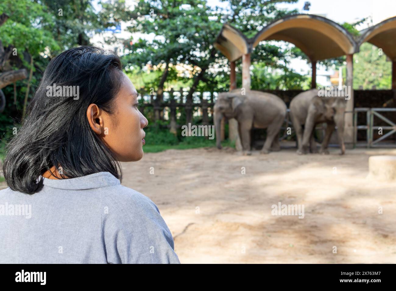 Woman in the zoo hi-res stock photography and images - Alamy