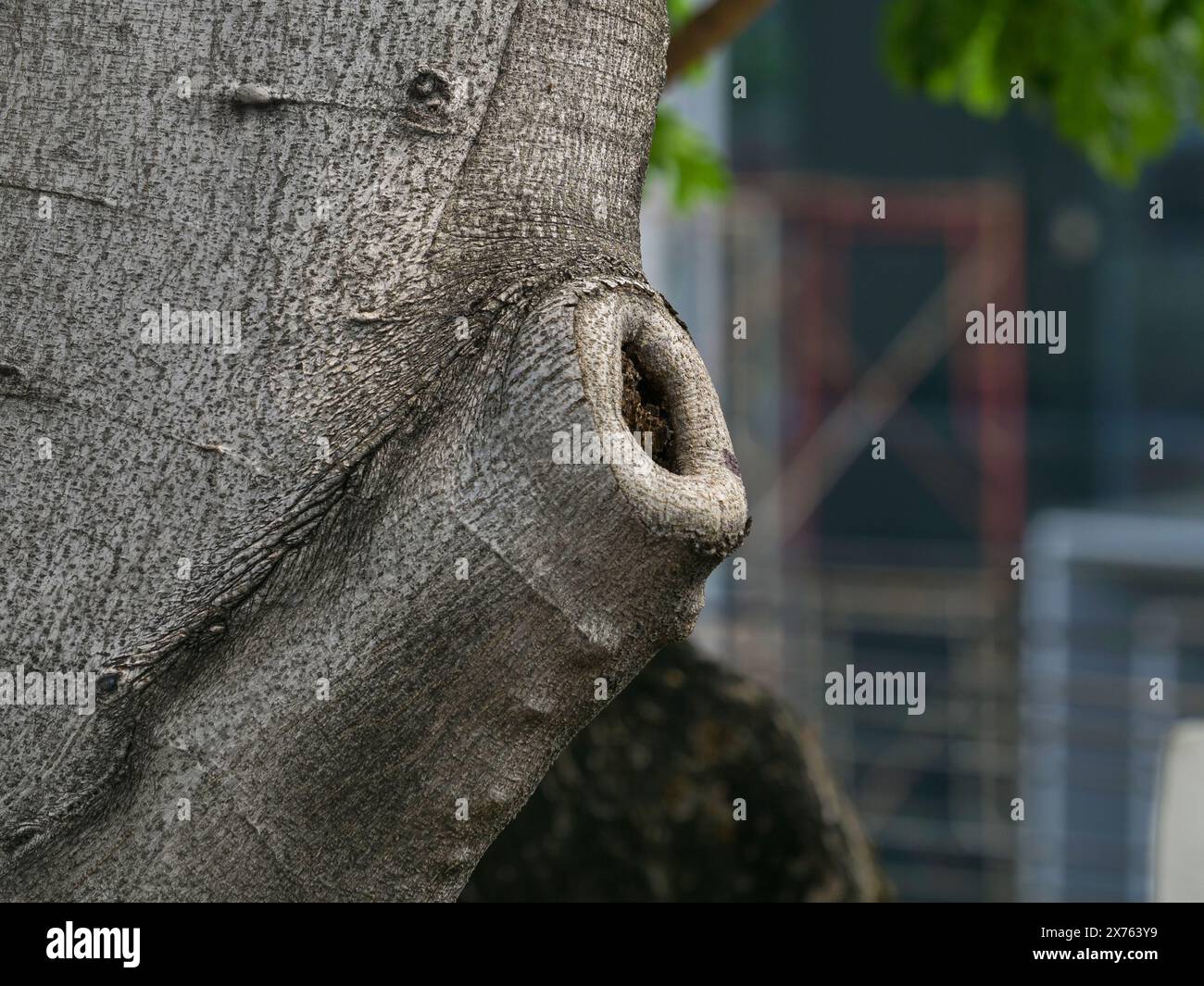 Former working life hi-res stock photography and images - Alamy