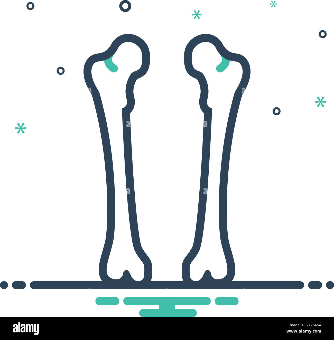 Femur bone Stock Vector Images - Alamy