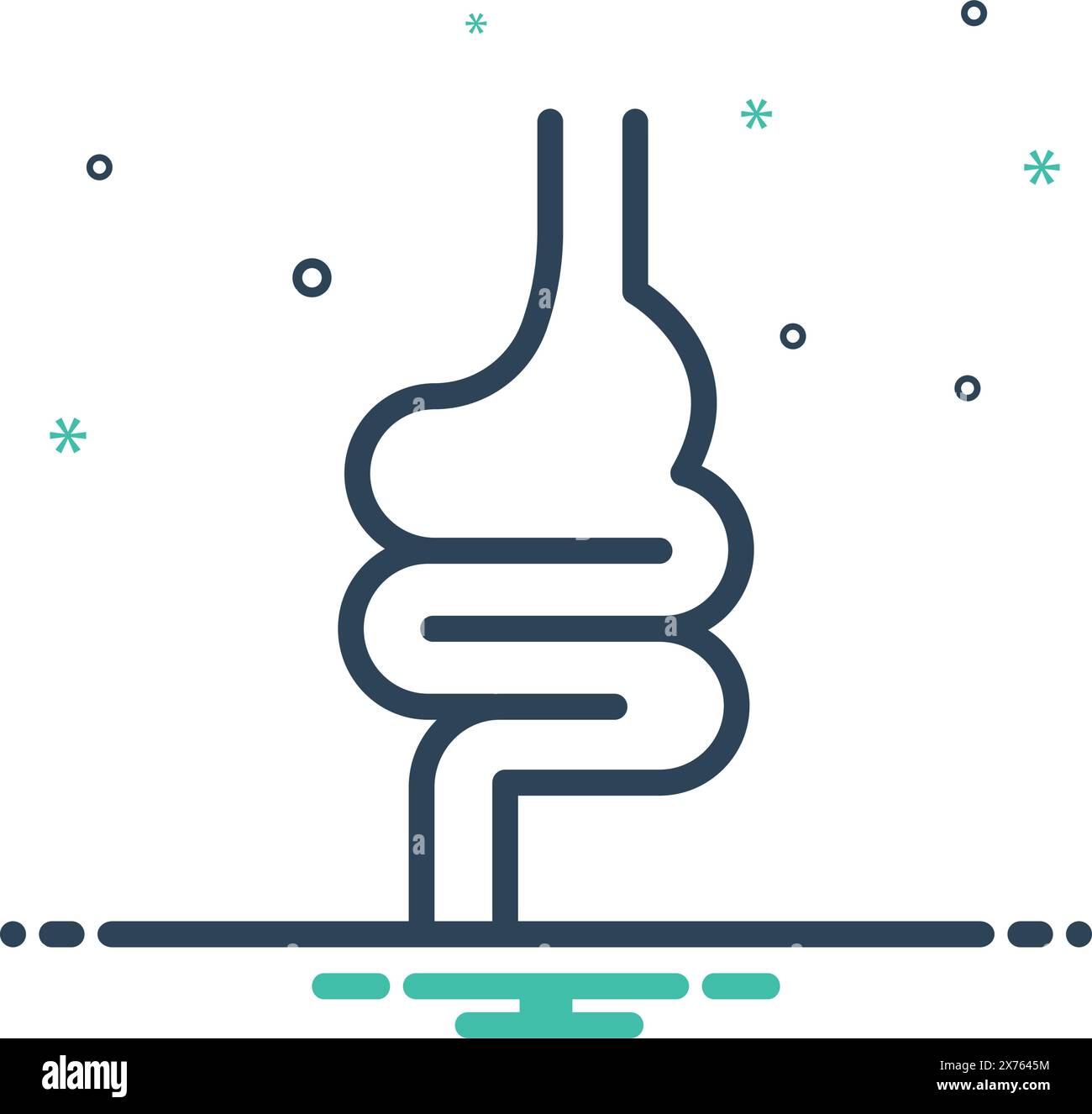 Icon for intestine,appendix Stock Vector Image & Art - Alamy