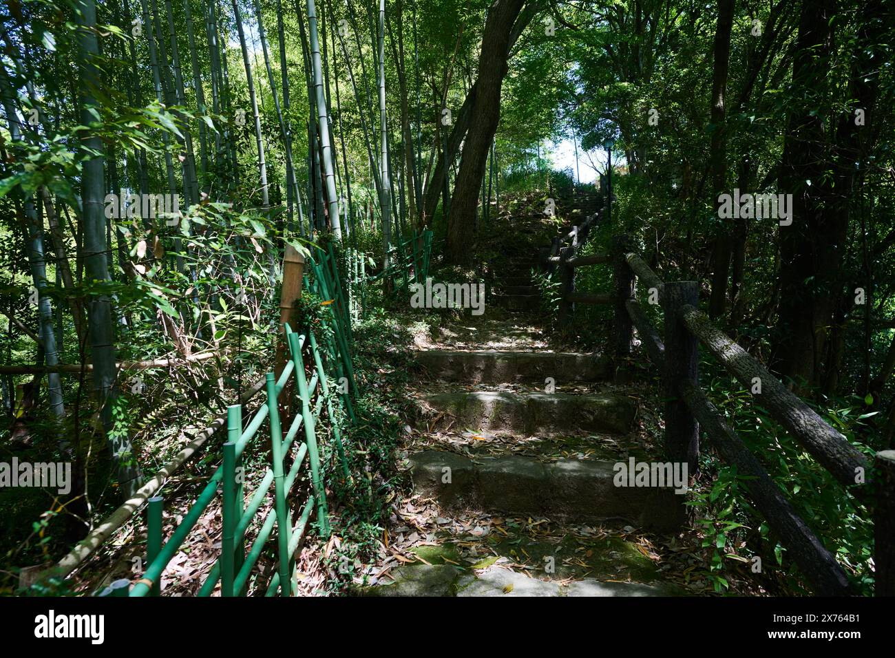 Path hiking up Mount Kinka in the Gifu region of Japan to visit the ...