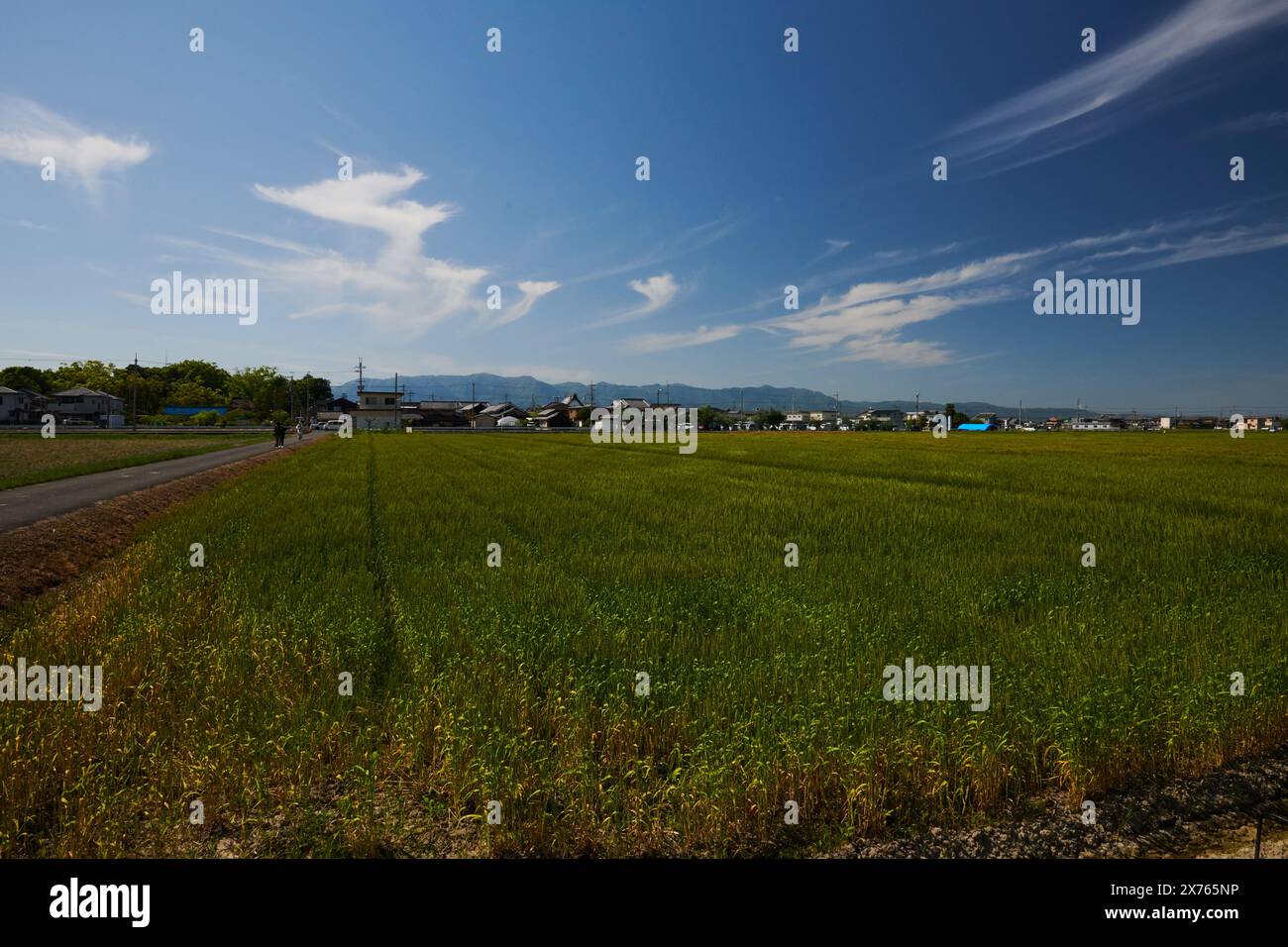 Wide open field close to a village near Lake Biwa in central Japan in ...