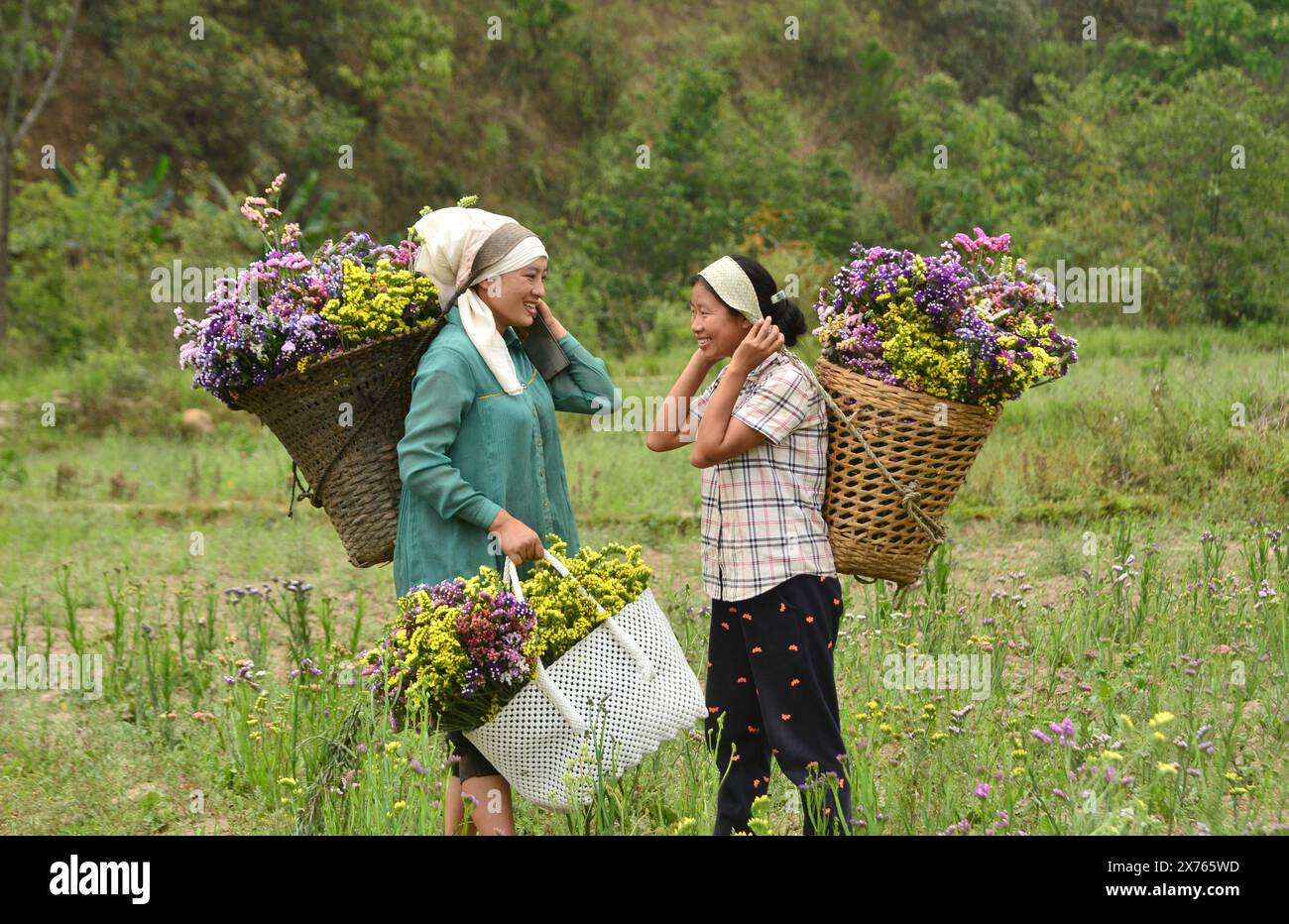 Senapati, India. 18th May, 2024. Farmers carrying harvest varieties ...