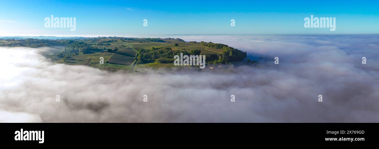Aerial view of Bordeaux vineyard at sunrise spring under fog, Sainte-Croix-du-Mont, Gironde ...
