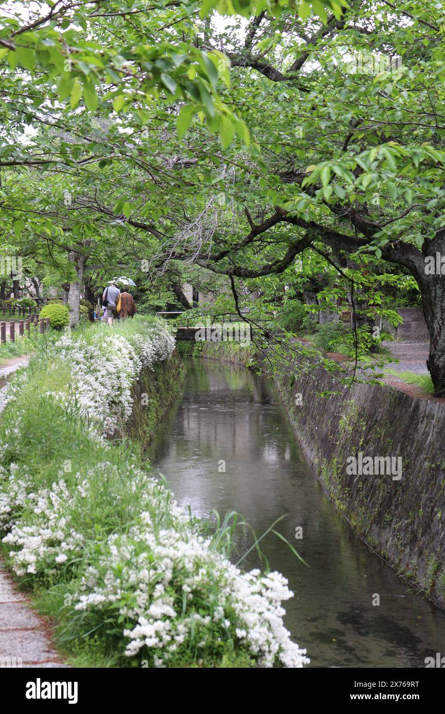 Philosophers walk kyoto hi-res stock photography and images - Alamy