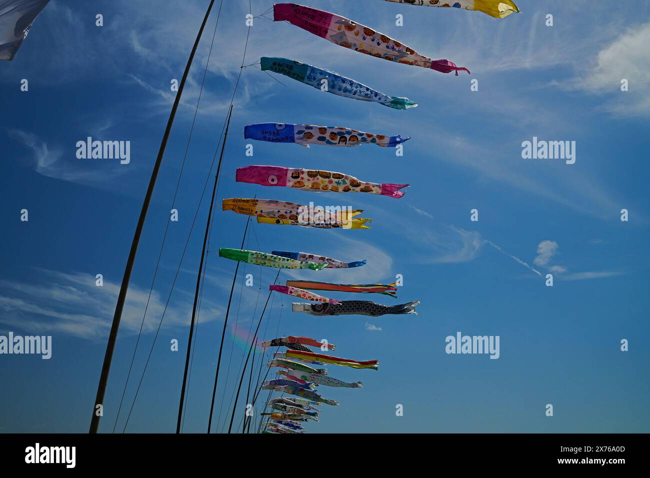 Koinobori carp streamers in the wind during Golden Week in Japan Stock ...
