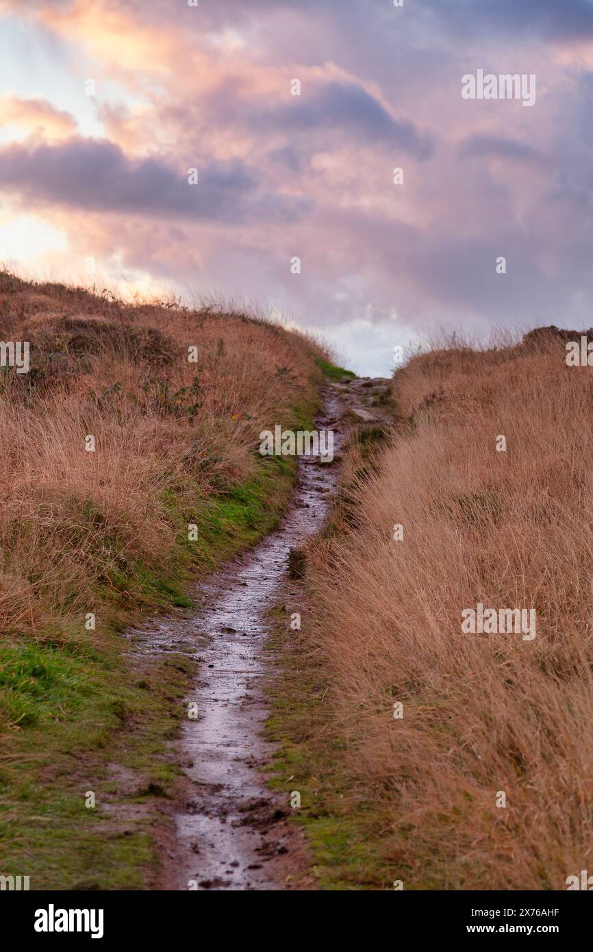 Footpath in the Monts d'Arrée at sunset. It is an ancient mountain ...