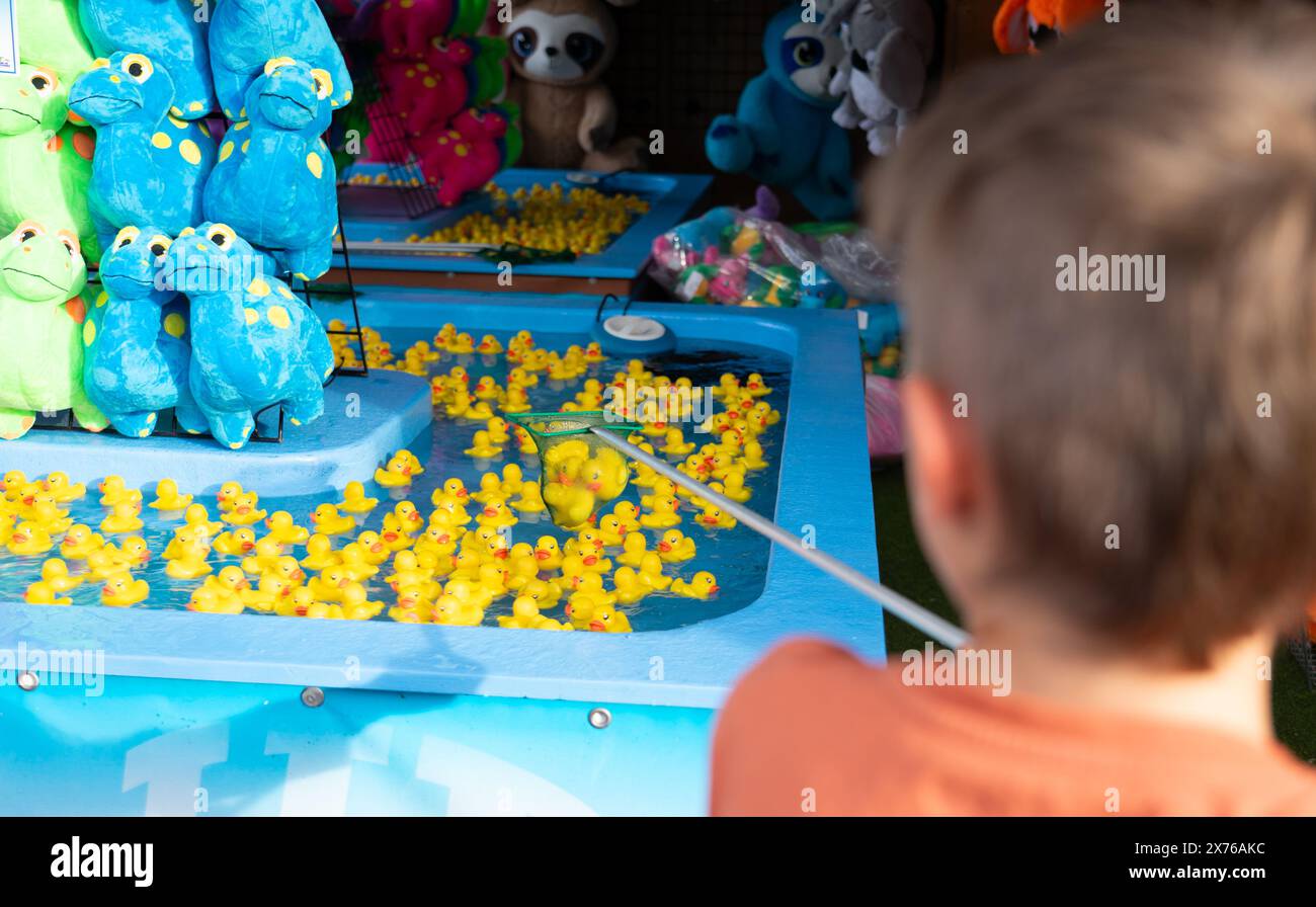Child playing at a fair to catch rubber ducks with a net Stock Photo ...