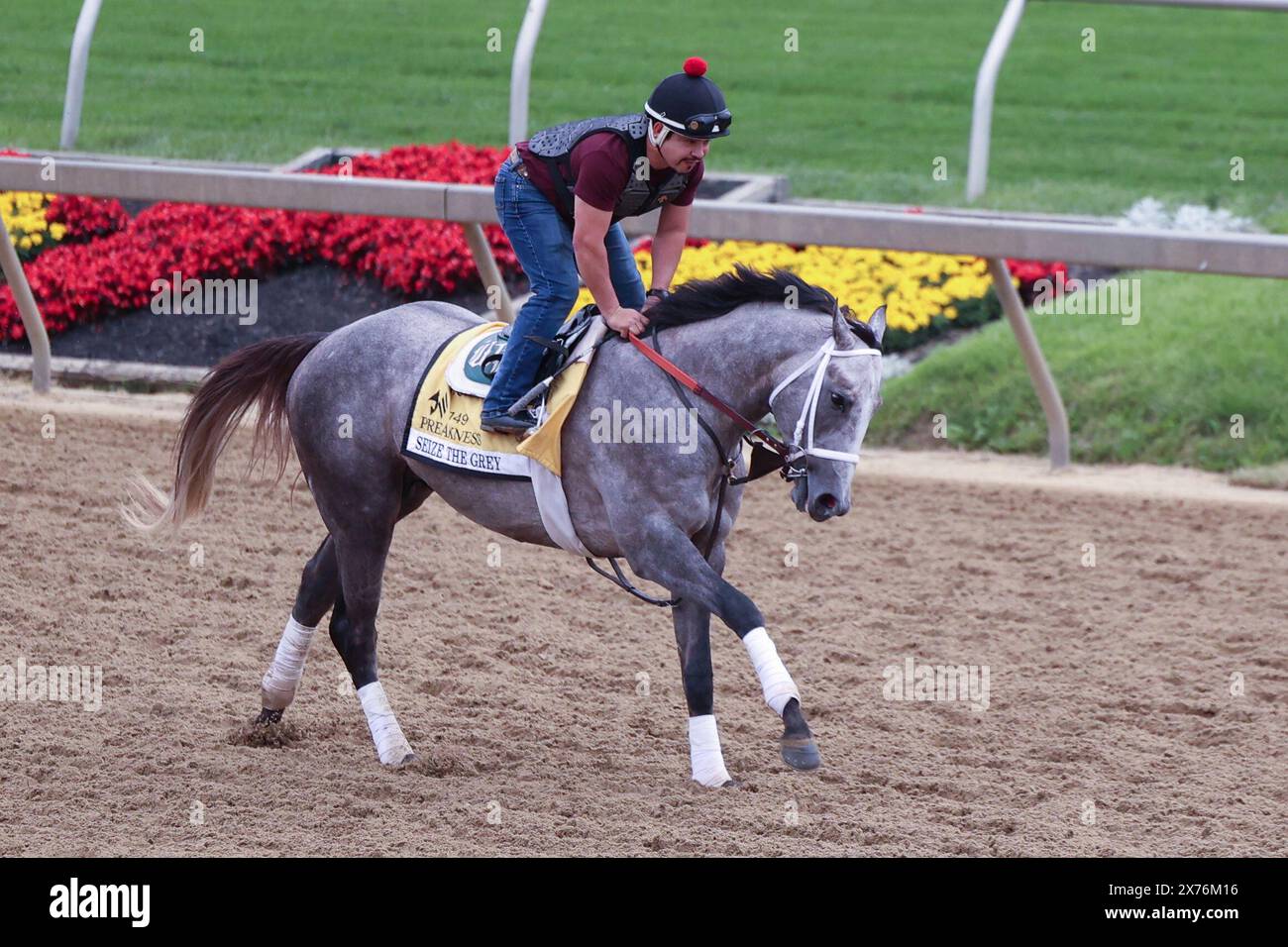 May 17, 2024 - Pimlico Racetrack, Baltimore, Baltimore City, Maryland ...