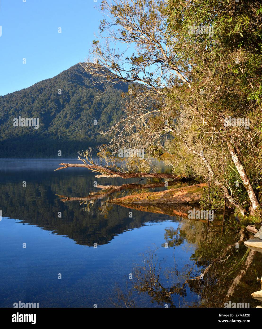 Lake Kaniere Shoreline Reflections in Spring, West Coast, Hokitika, New ...