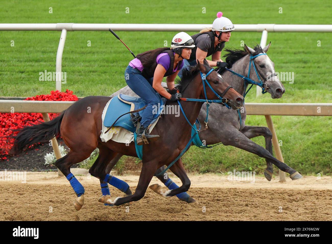 May 17, 2024 - Pimlico Racetrack, Baltimore, Baltimore City, Maryland ...